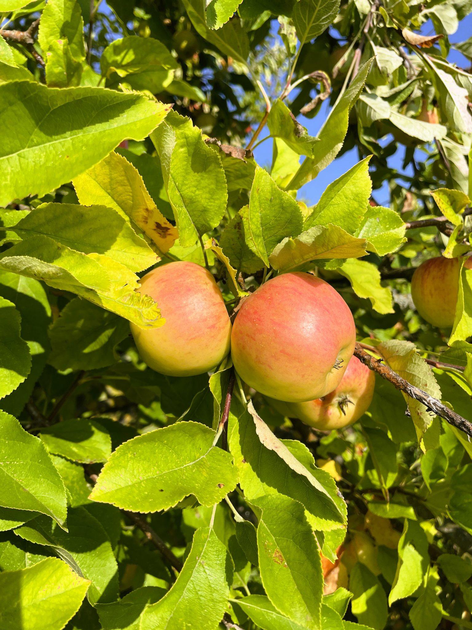 20220830_075948048_iOS - Welda