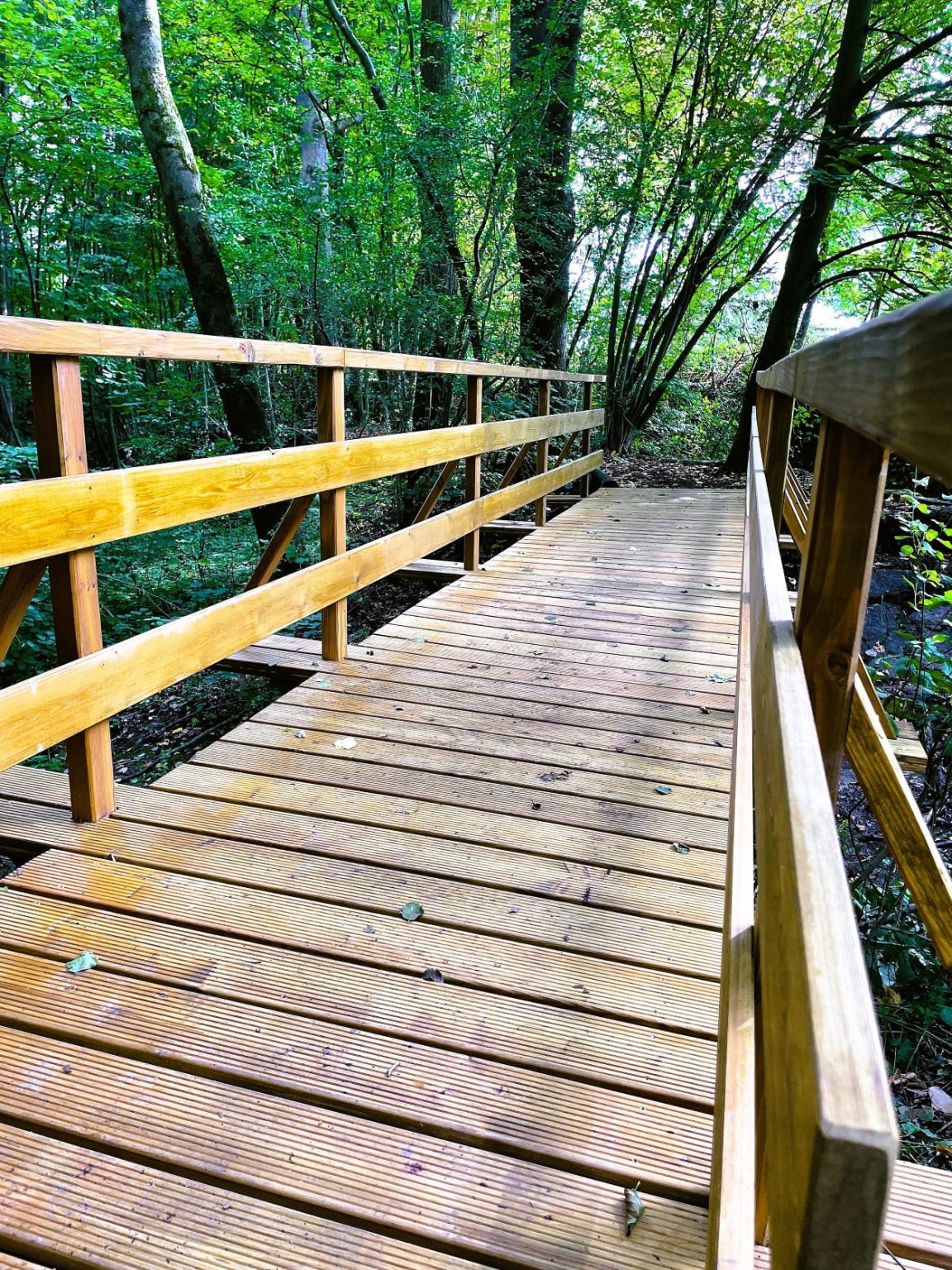 Welda - Holzbrücke am Fußweg des Hörler Bachs wurde erneuert